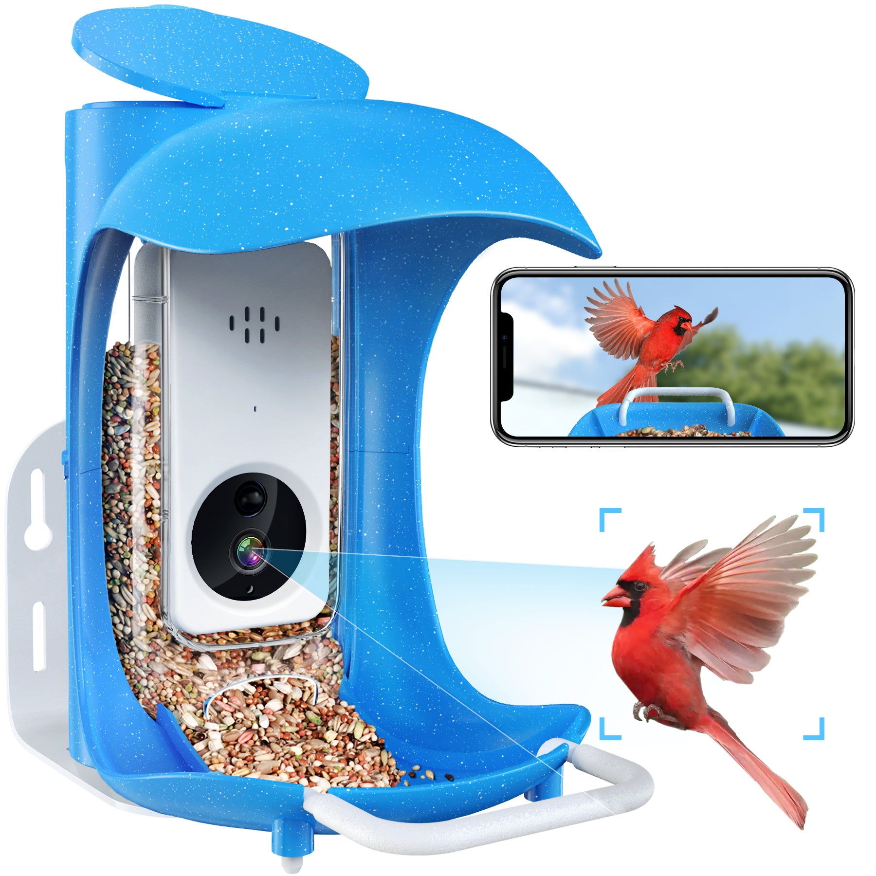 BirdDock Smart Bird Feeder with Camera WiFi APP Install